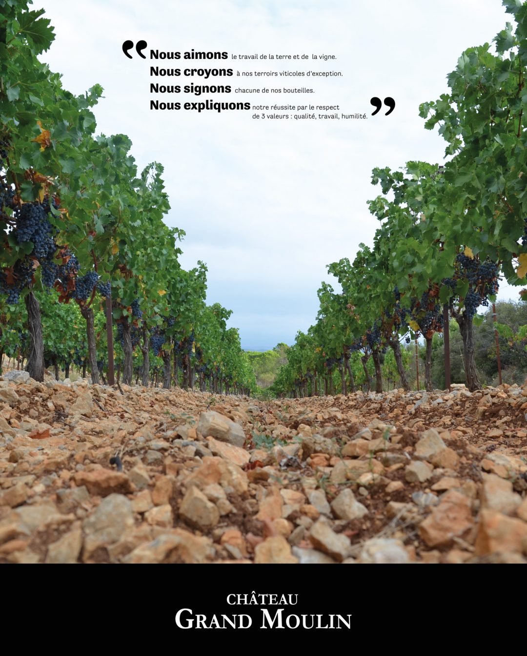 News - Château Grand Moulin